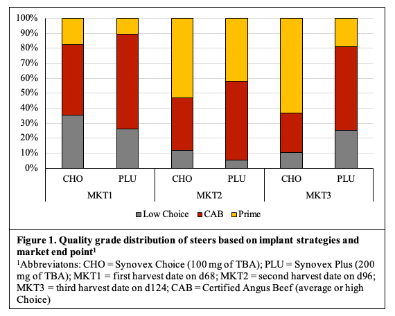 Iowa Beef Center | Growing Beef newsletter | Iowa State University
