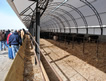 Iowa Beef Center | Iowa State University