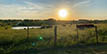 Iowa Beef Center | Iowa State University
