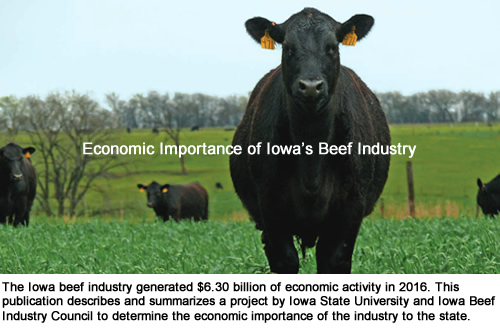 Iowa Beef Center | Iowa State University