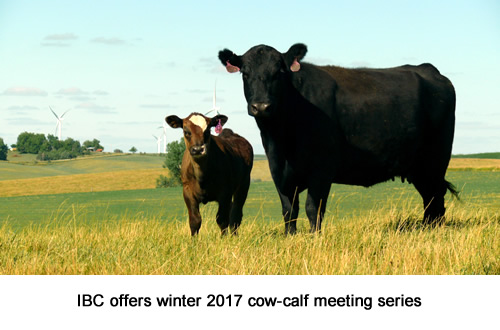 Iowa Beef Center | Iowa State University