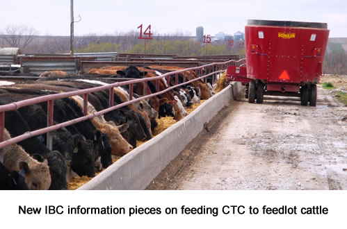 Iowa Beef Center | Iowa State University