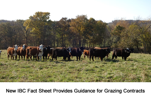 Iowa Beef Center | Iowa State University