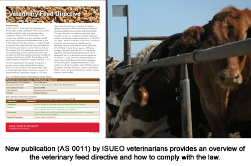 Iowa Beef Center | Iowa State University